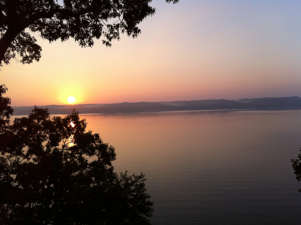 Angelo Rapan | Homepage